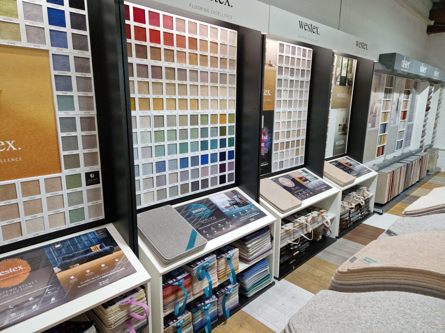 Debunking moth myths | Do moths damage carpets in your home?