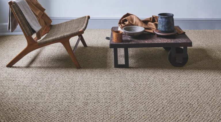 Debunking moth myths | Do moths damage carpets in your home?